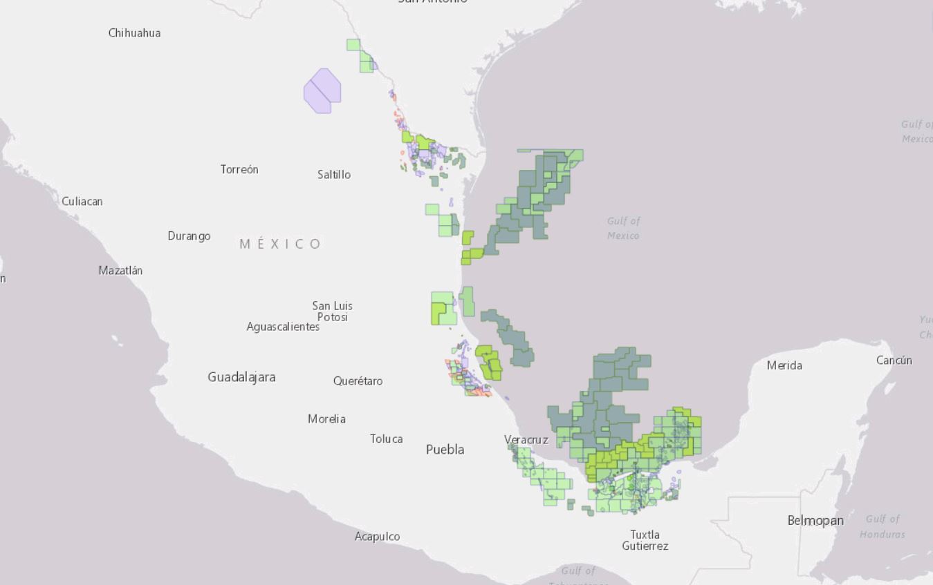 El sector petrolero mexicano es tan grande que cabemos todos. Literal ...